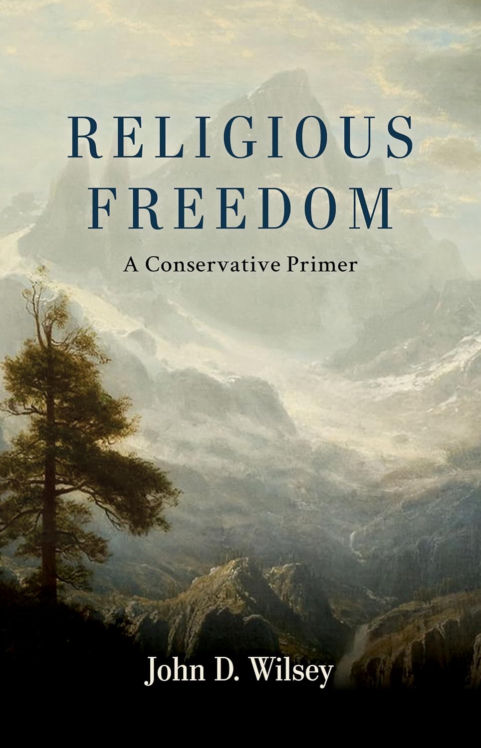 Conservative Primer for Religious Liberty - Juicy Ecumenism