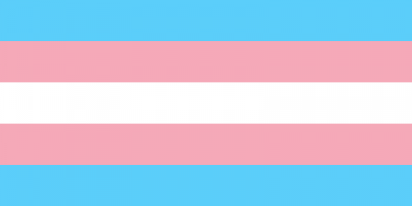 Who are America's Transgender Clergy? - Juicy Ecumenism